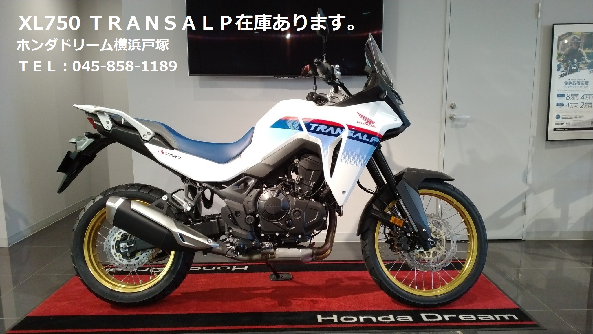 XL750 TRANSALP 展示・販売しております。 – ホンダドリーム新横浜/横浜戸塚 | バイク販売,修理ならHonda Dream ...